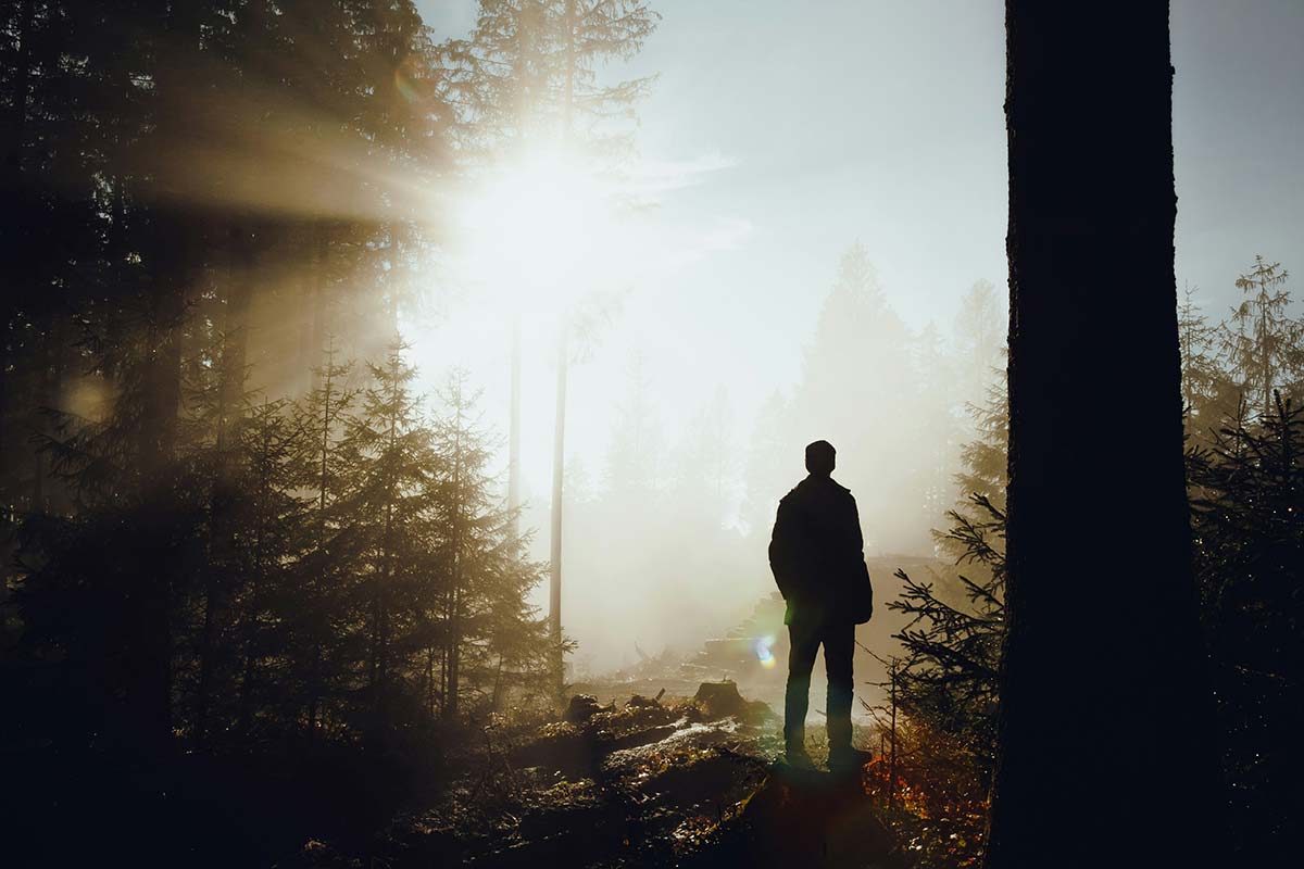 Stress vs. Trauma: How to Tell the Difference - Illumine Therapy, Inc.